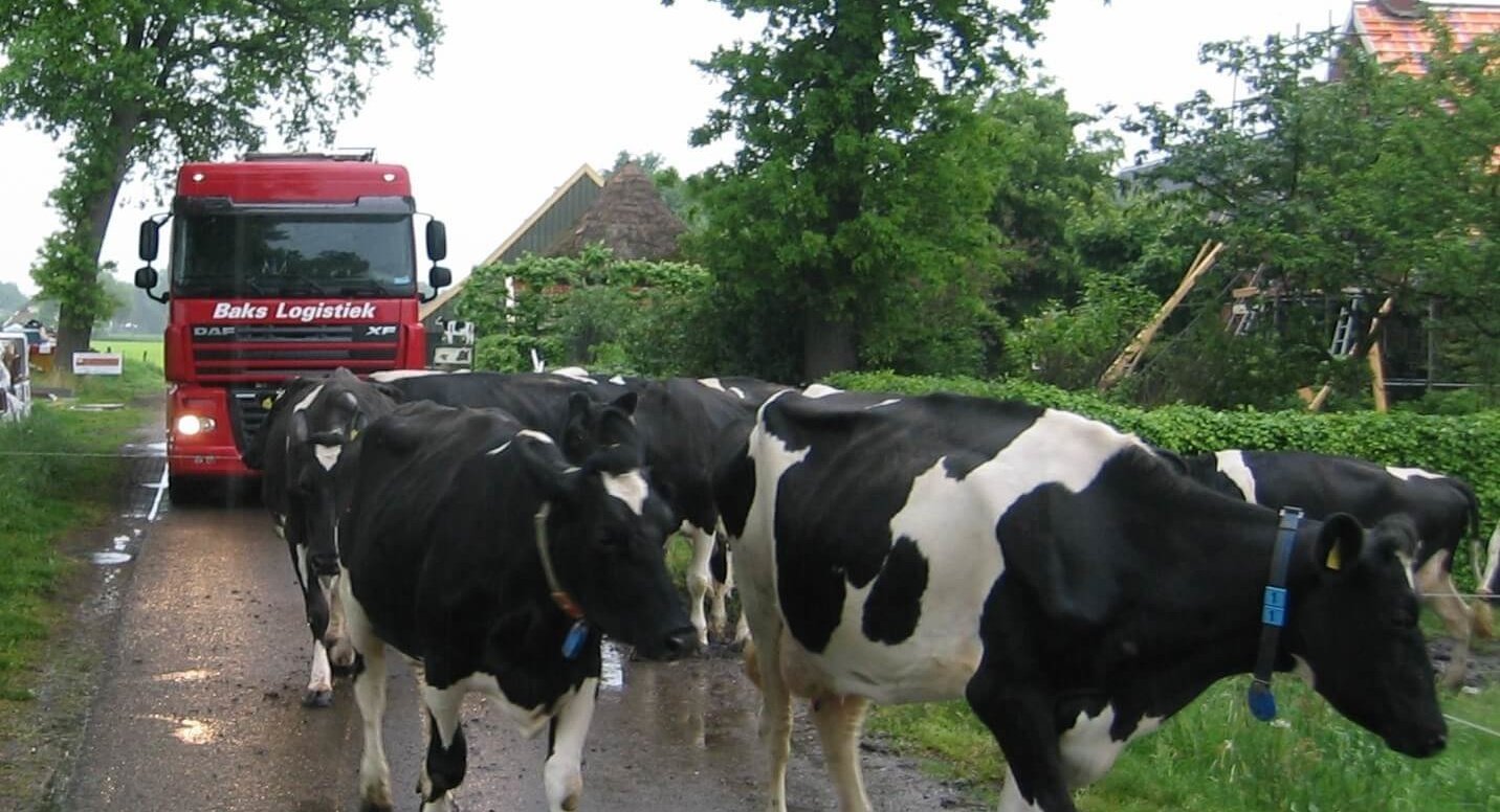 European transport of Liquid Feedstuffs - Baks Logistics